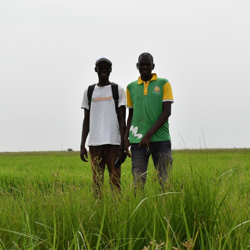 Examples of GIZ projects | Invest for Jobs